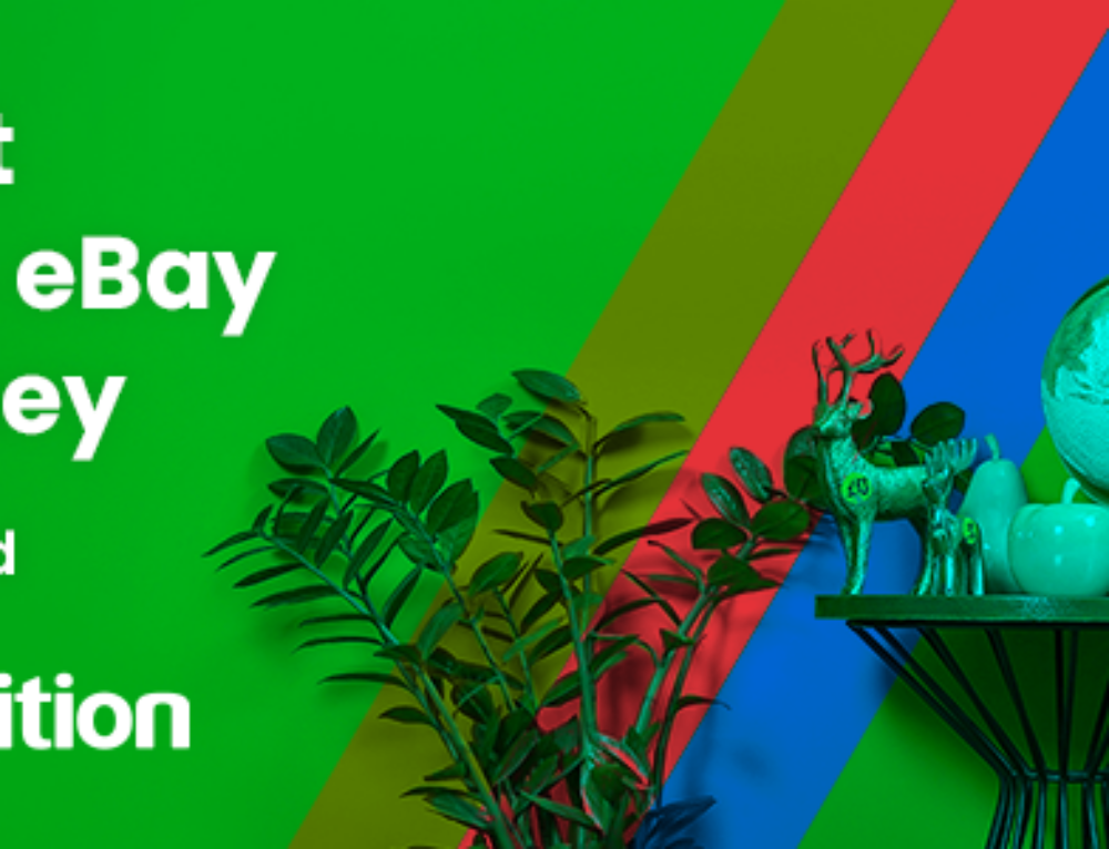 Managing Multiple eBay Accounts Like a Pro: Best Practices